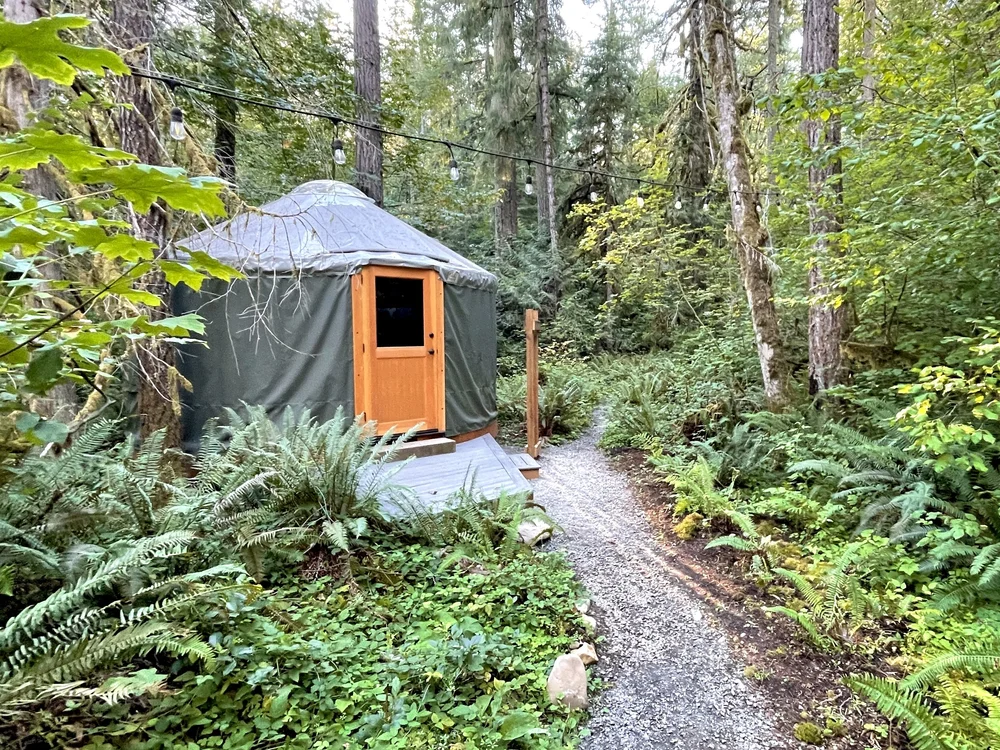 STAY — CAMP COLTON