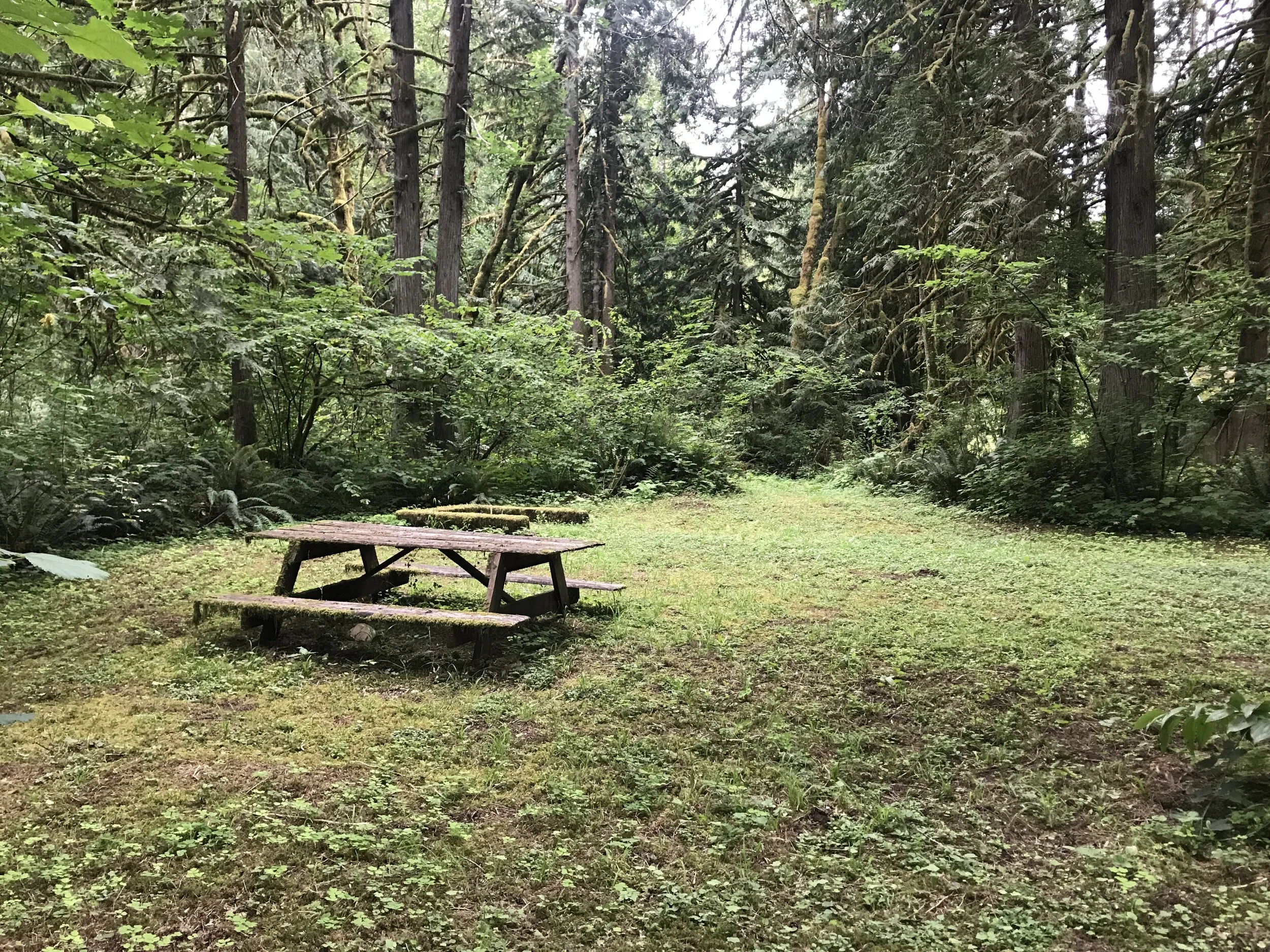 Camping — CAMP COLTON