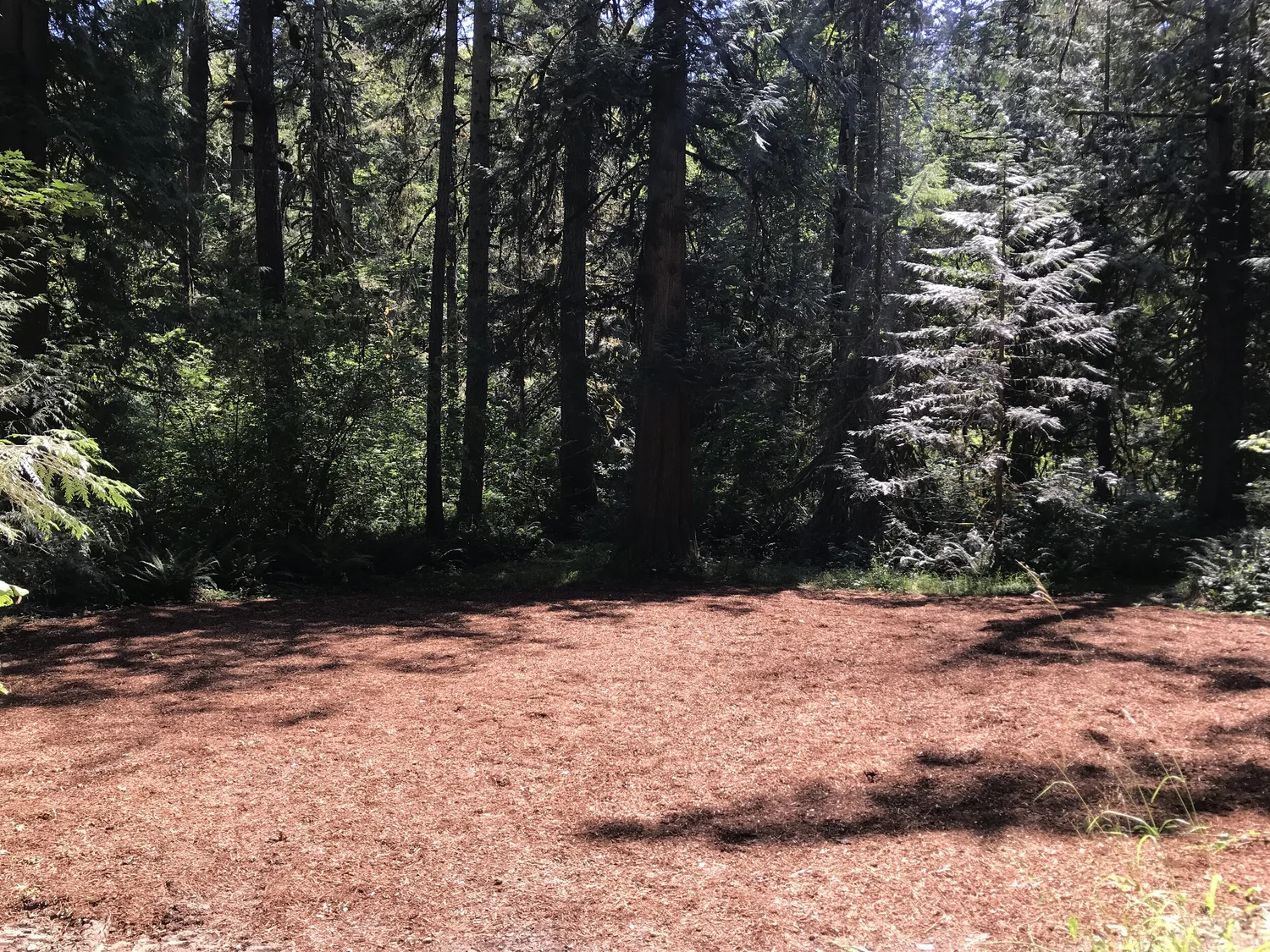 Camping — CAMP COLTON