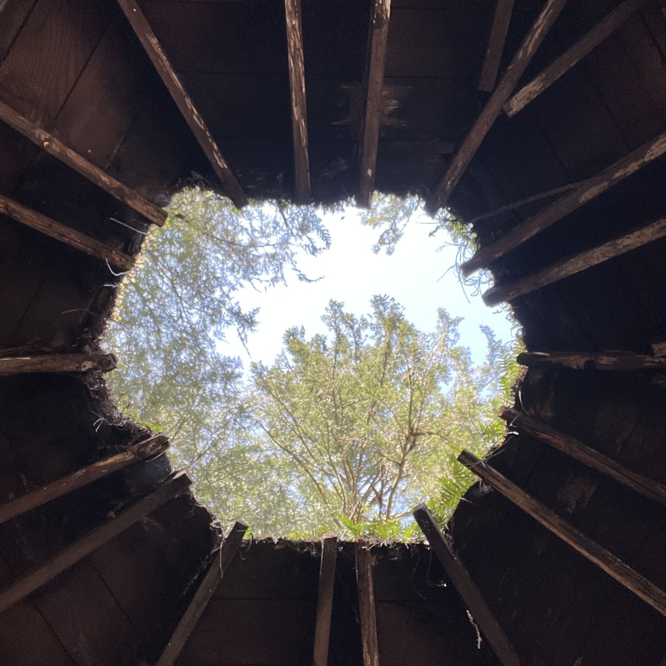 Gazebo — CAMP COLTON