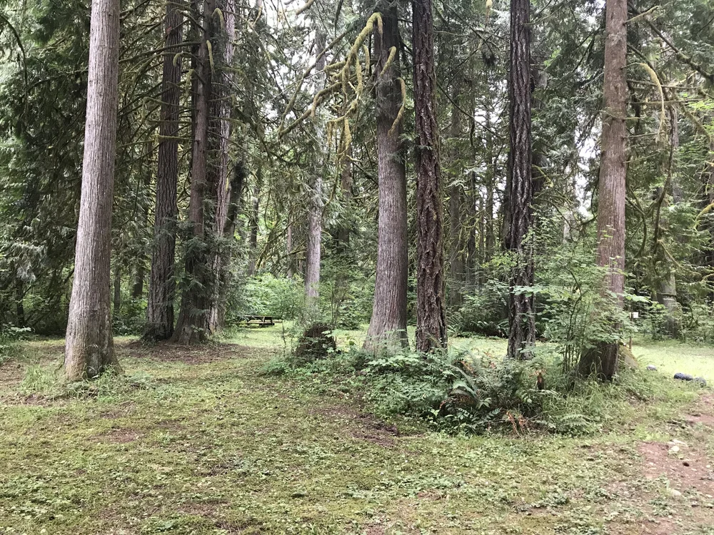 Camping — CAMP COLTON