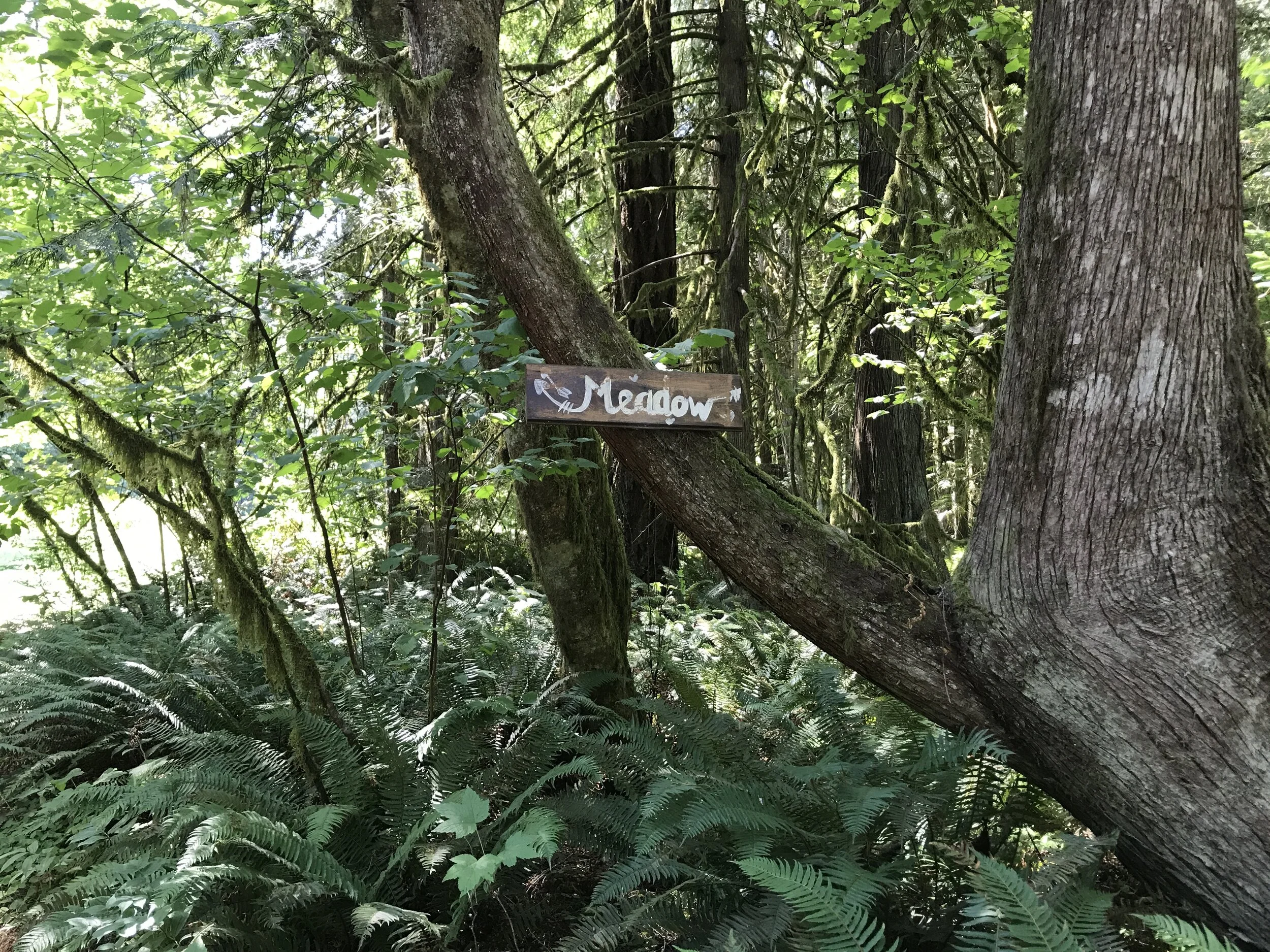 Camping — CAMP COLTON