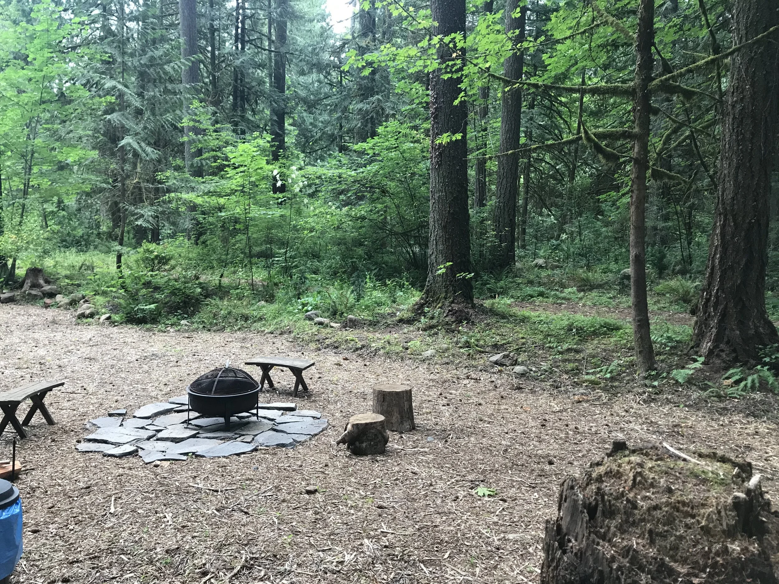 Camping — CAMP COLTON