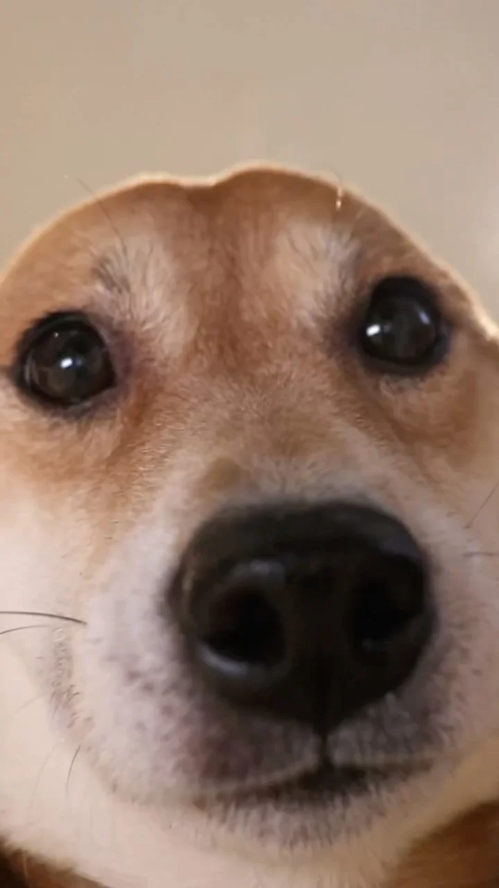 Relational Therapists | Stark Therapy Group | Tustin, CA