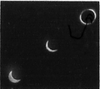 The Solar Eclipse of 1954 — Scott County Historical Society
