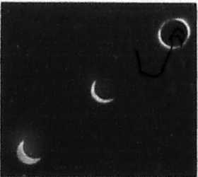 The Solar Eclipse of 1954 — Scott County Historical Society