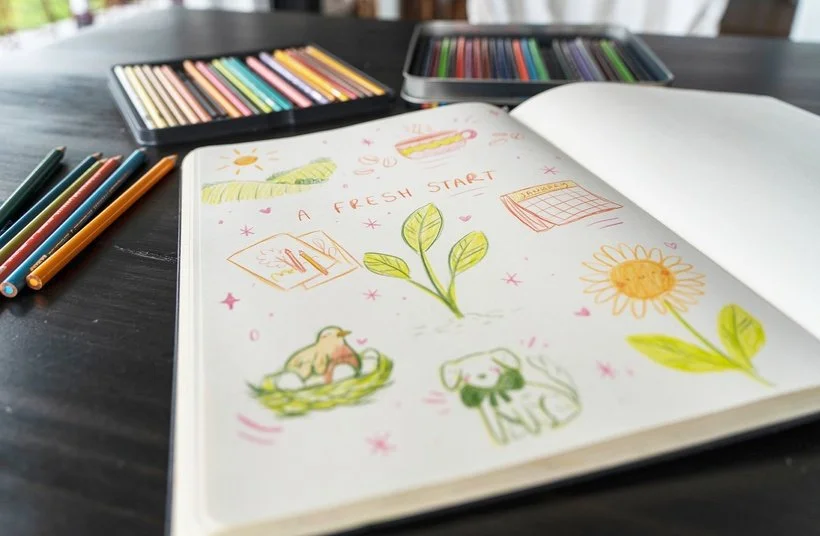 Support Mimimoo On Patreon — Mimimoo Illustration