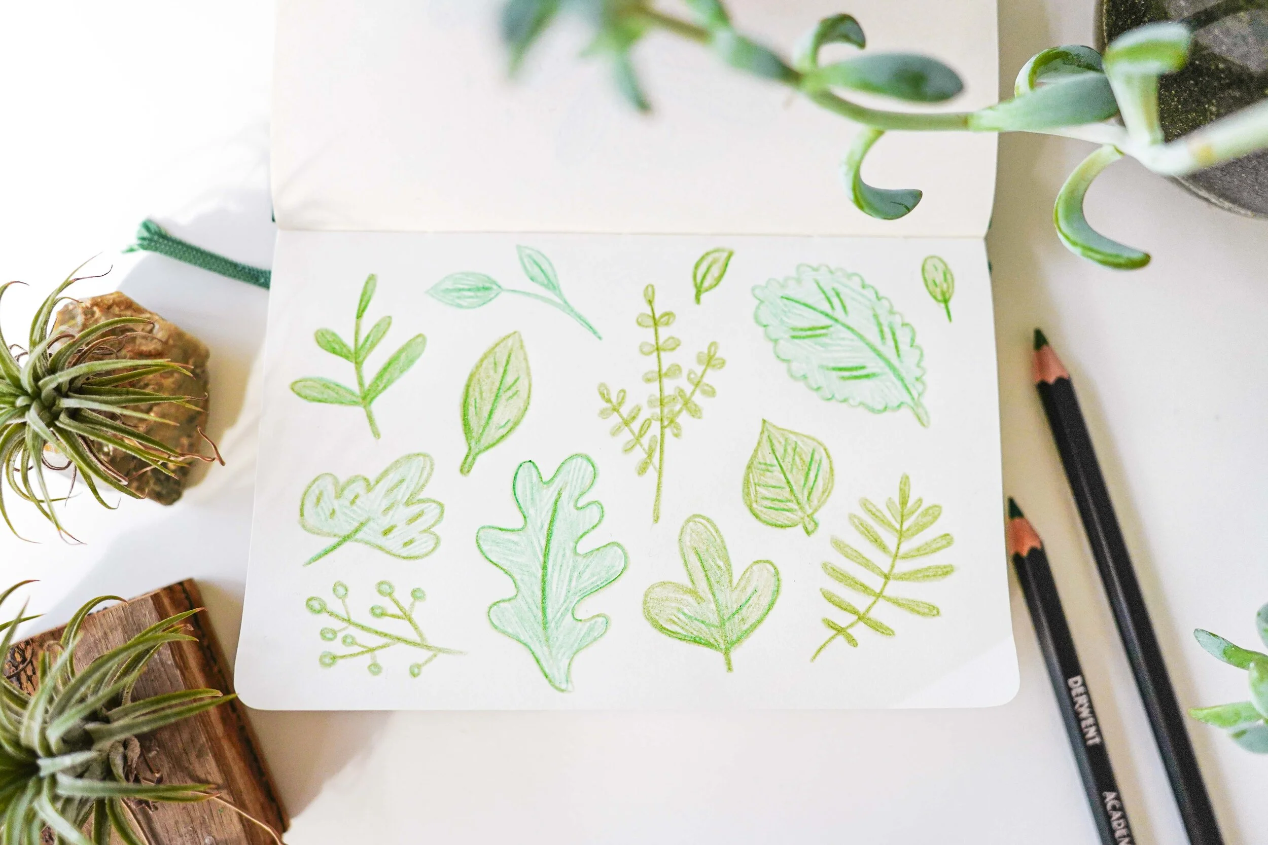 Drawing Ideas for Beginners — Mimimoo Illustration