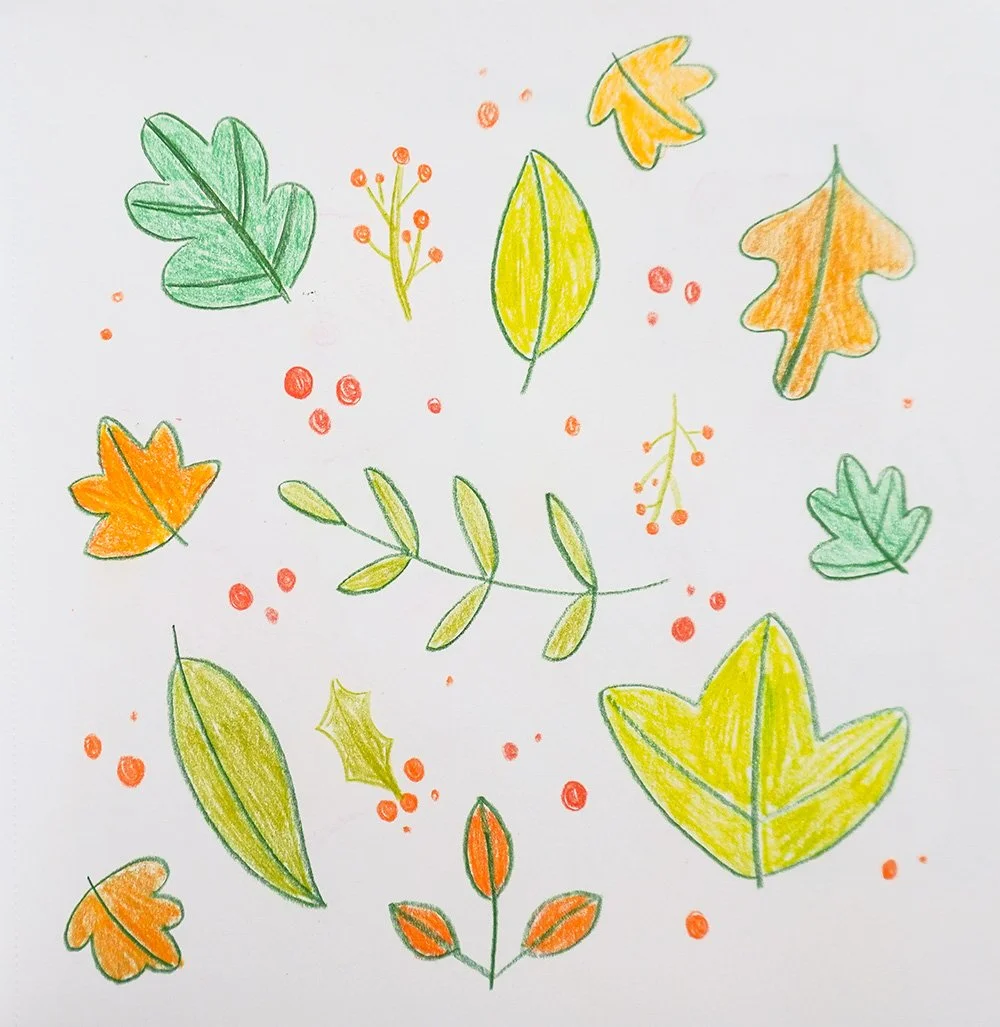 8 Beginner Drawing Ideas To Kickstart Your Art Habit — Mimimoo Illustration