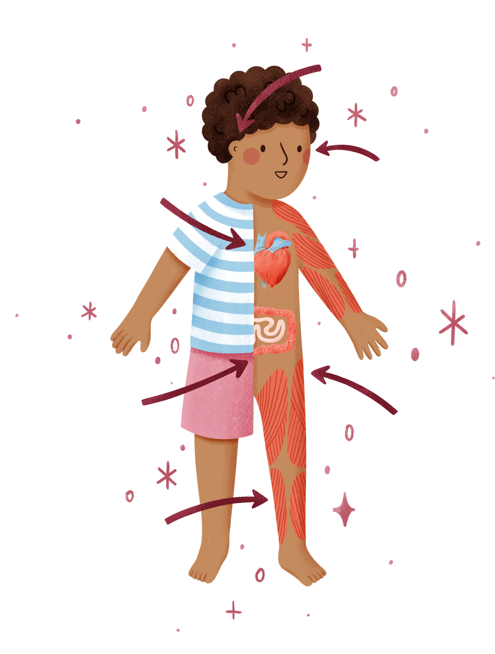 Human Body Stories (2023) — Mimimoo Illustration