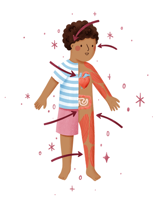 Human Body Stories (2023) — Mimimoo Illustration