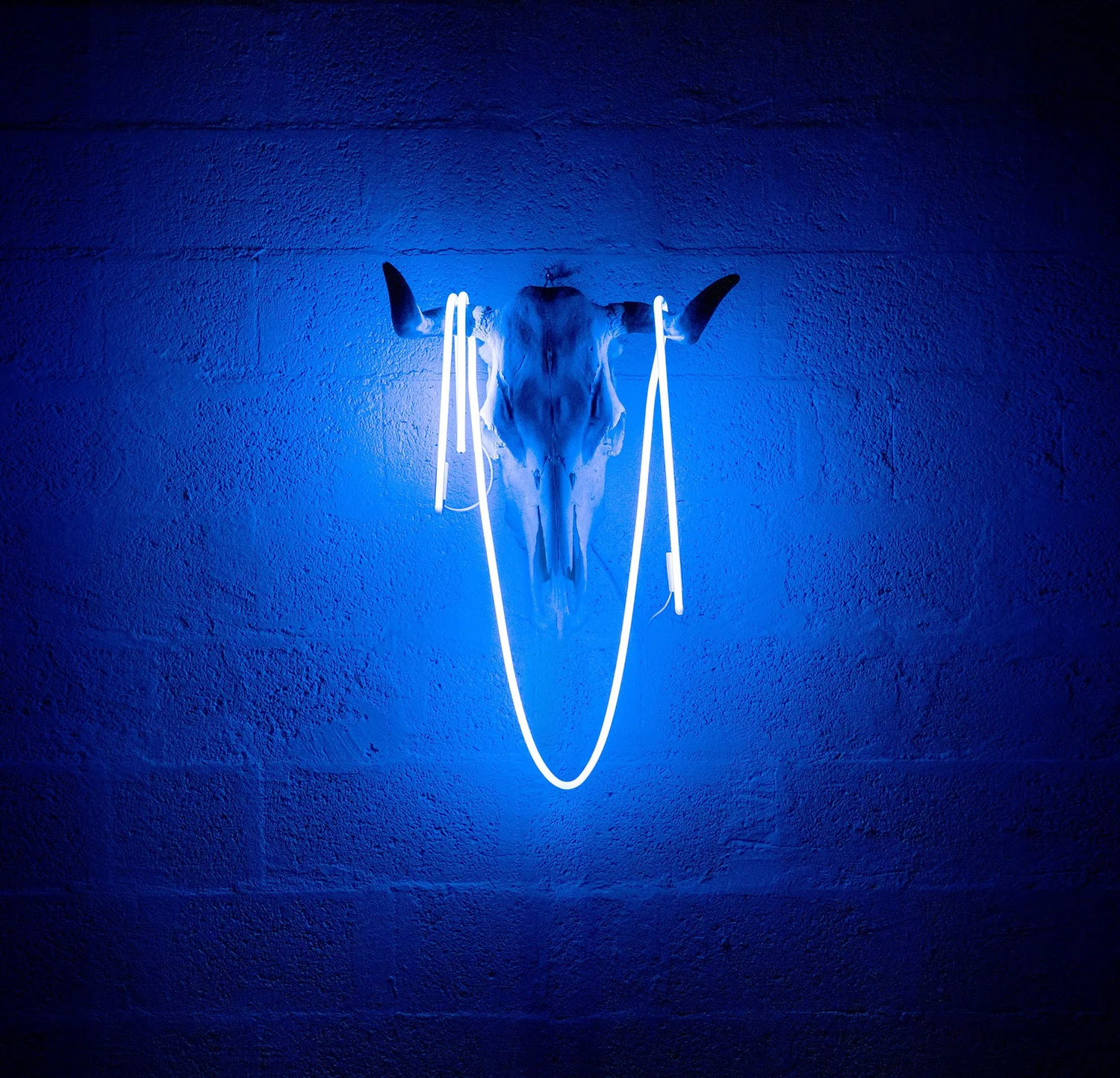 Tiziano Summo - The Art of Awakening