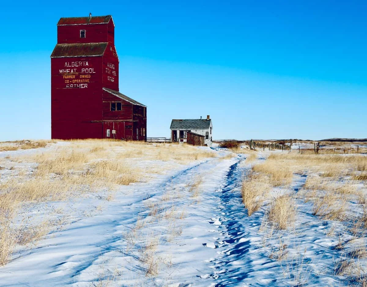 Prairie Sentinel — Your West Central Voice