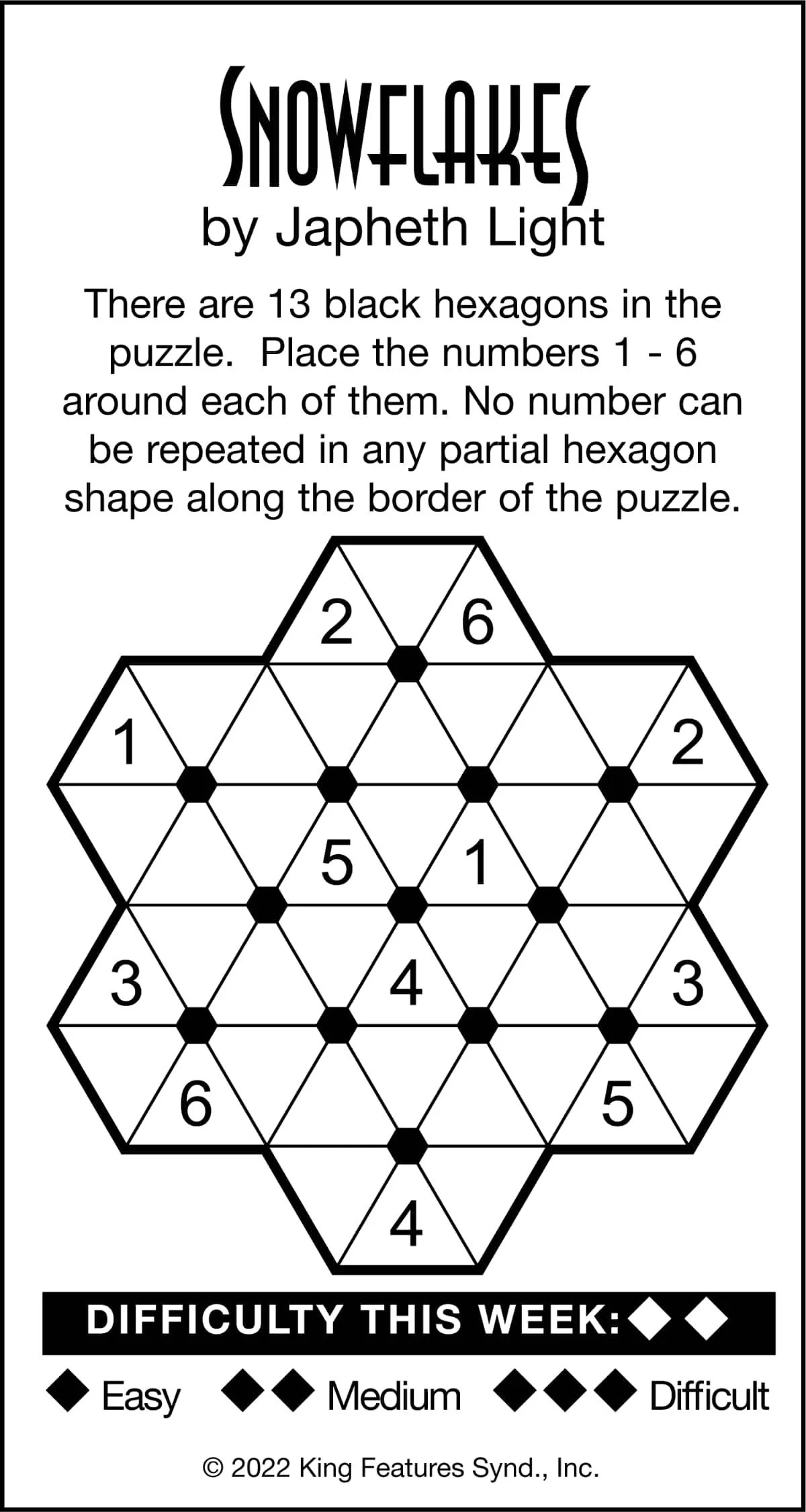 Snowflakes Puzzle — Your West Central Voice