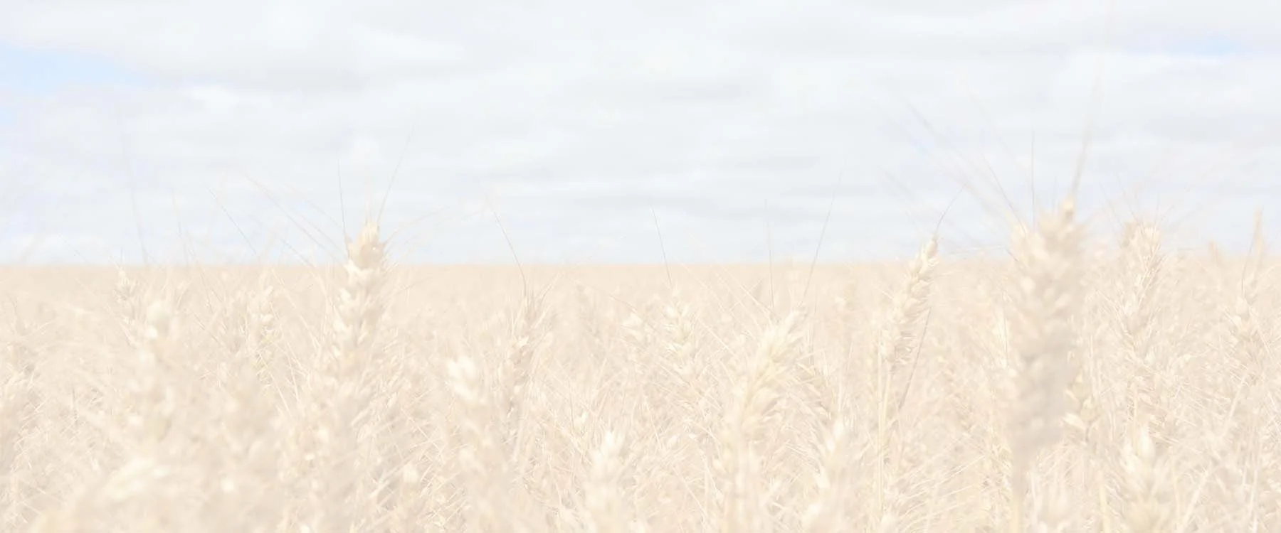 News — Your West Central Voice