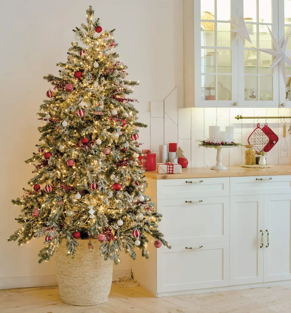 How to care for your natural Christmas tree — Your West Central Voice