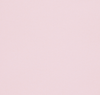 Spring Colors — Online Stylist