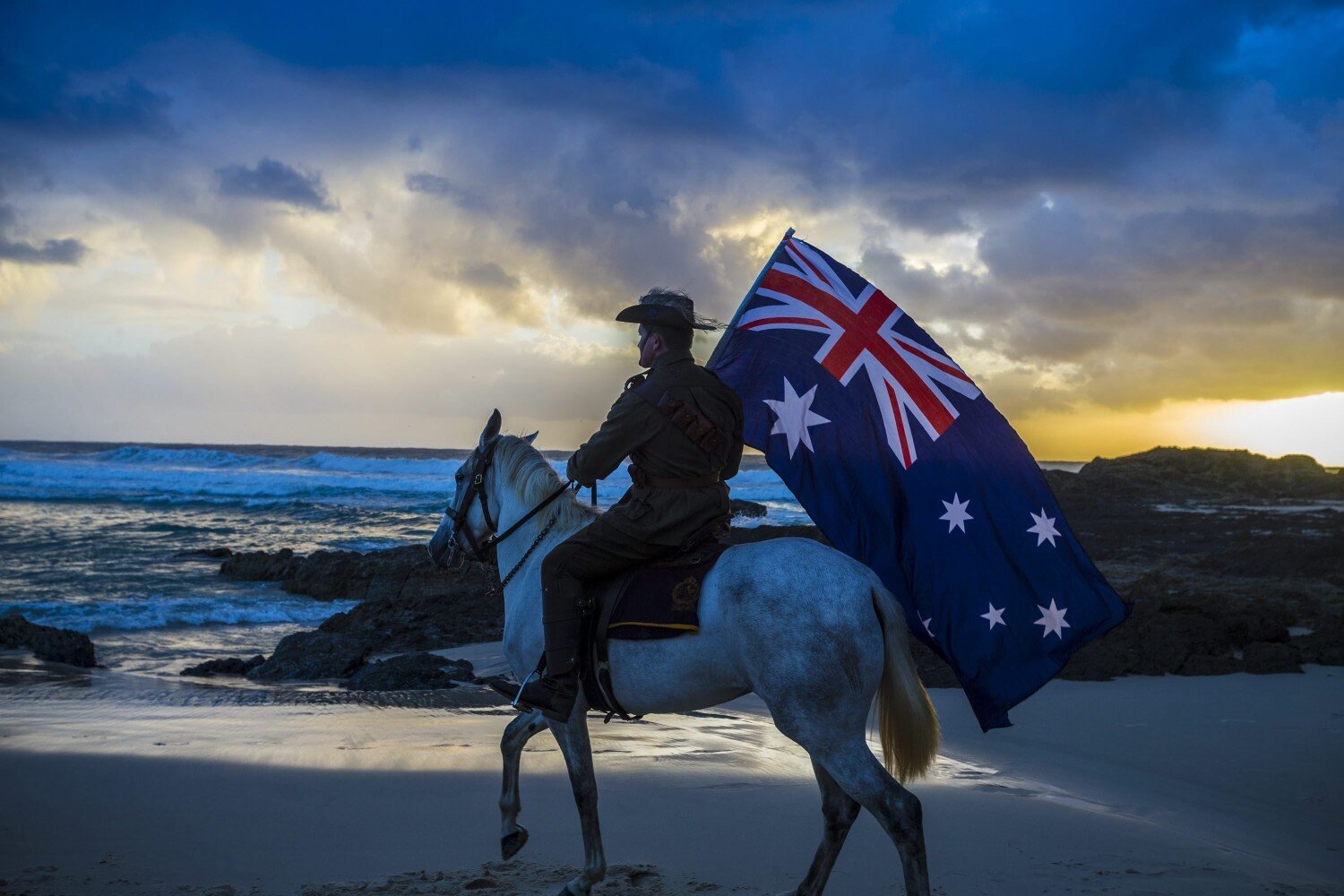 Anzac Horse — Nikki's Art Of Diamonds