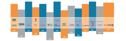 Overview — SK Group