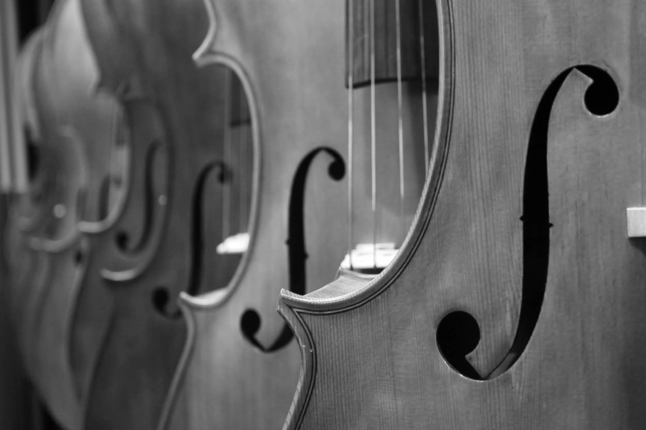 Our Teachers — Through the Staff