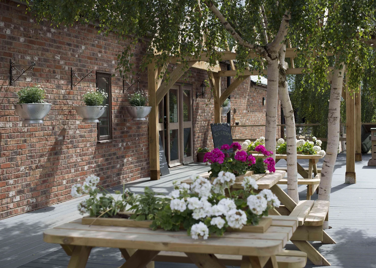 Our Story — The Pink Pig Farm