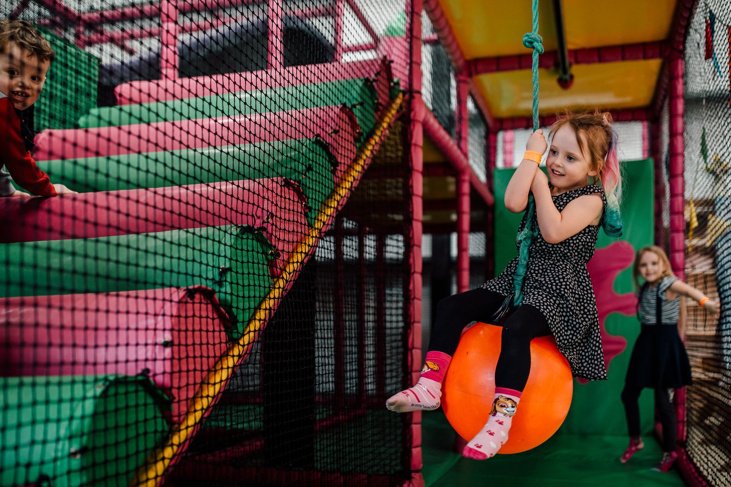 School visits — The Pink Pig Farm