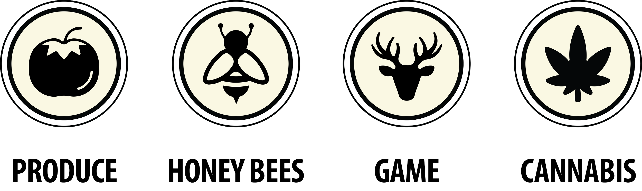 BarnBox — HiveTech Solutions