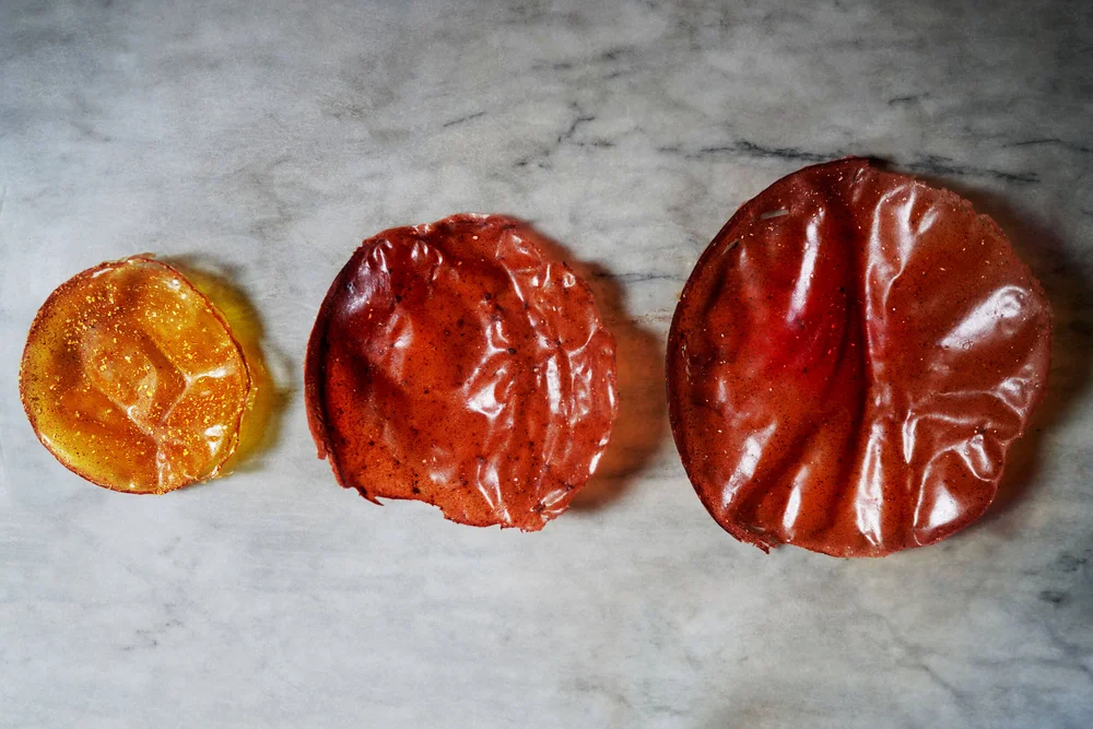 Avocado Waste: Bioplastic and Molds — Material Lab