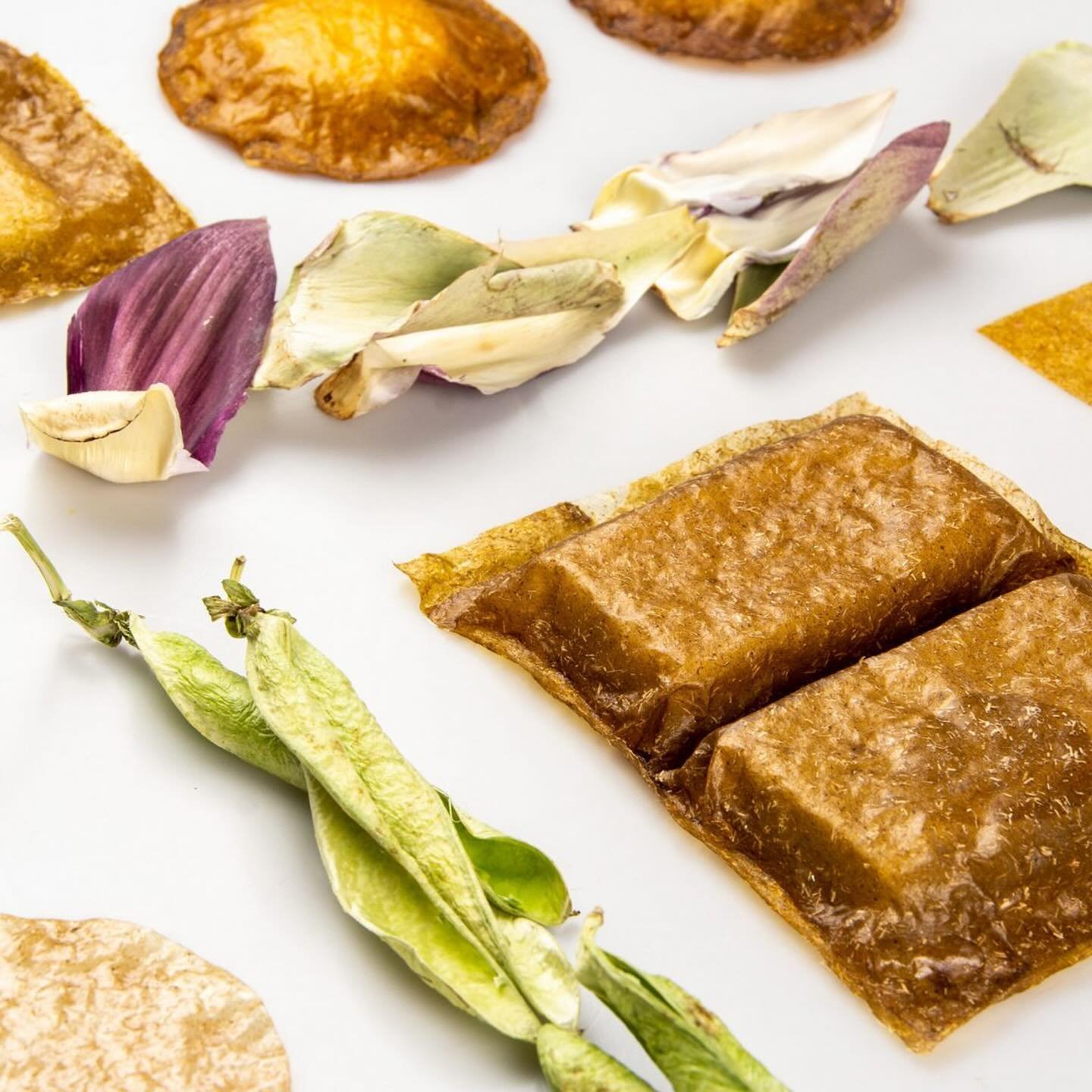 Avocado Waste: Bioplastic and Molds — Material Lab