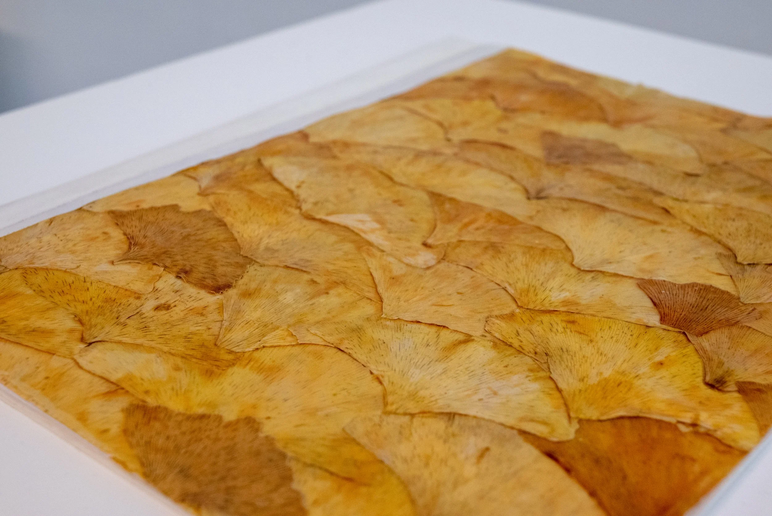 2022 Exhibition — Material Lab