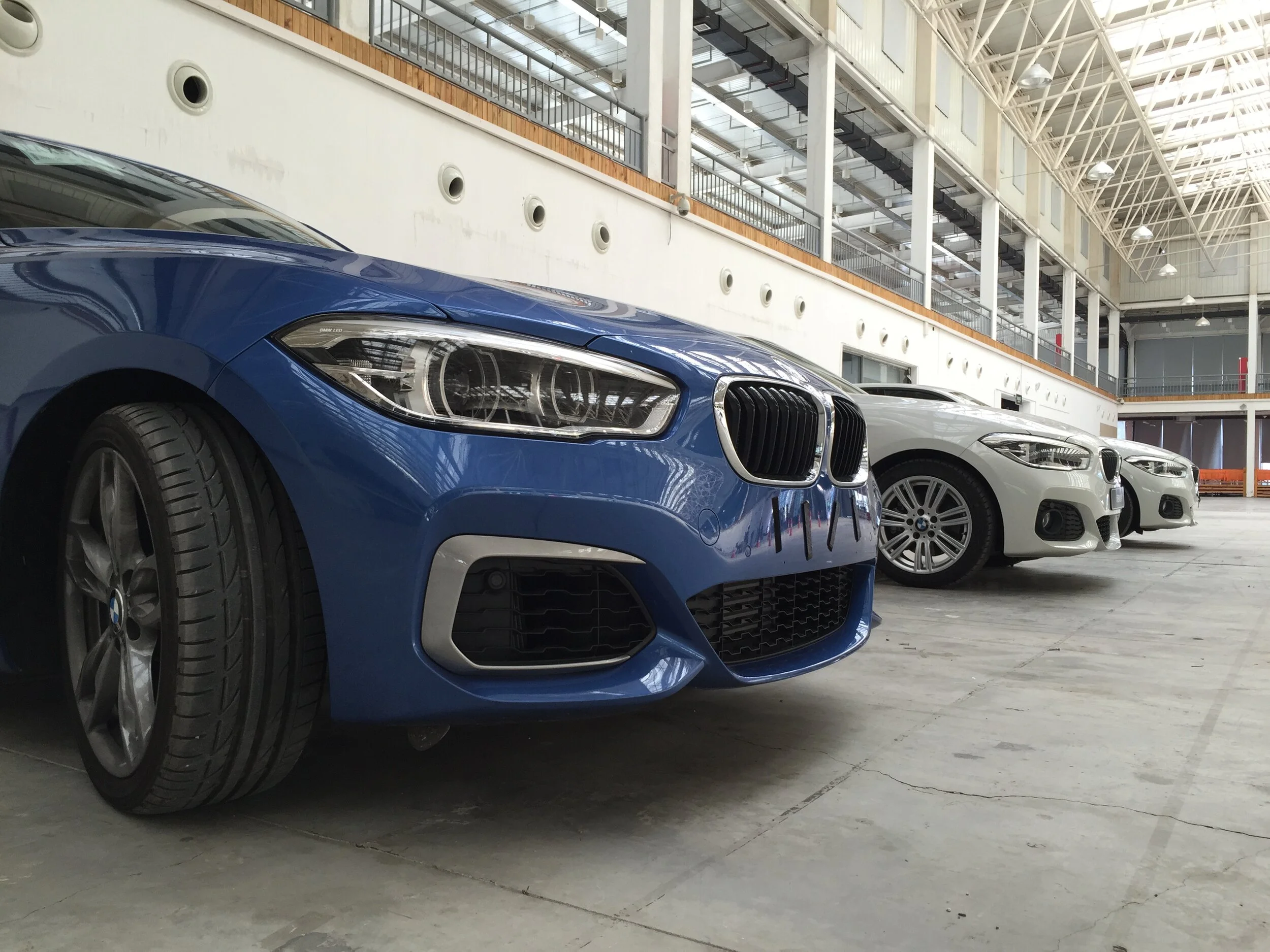 BMW Snake — mrfung