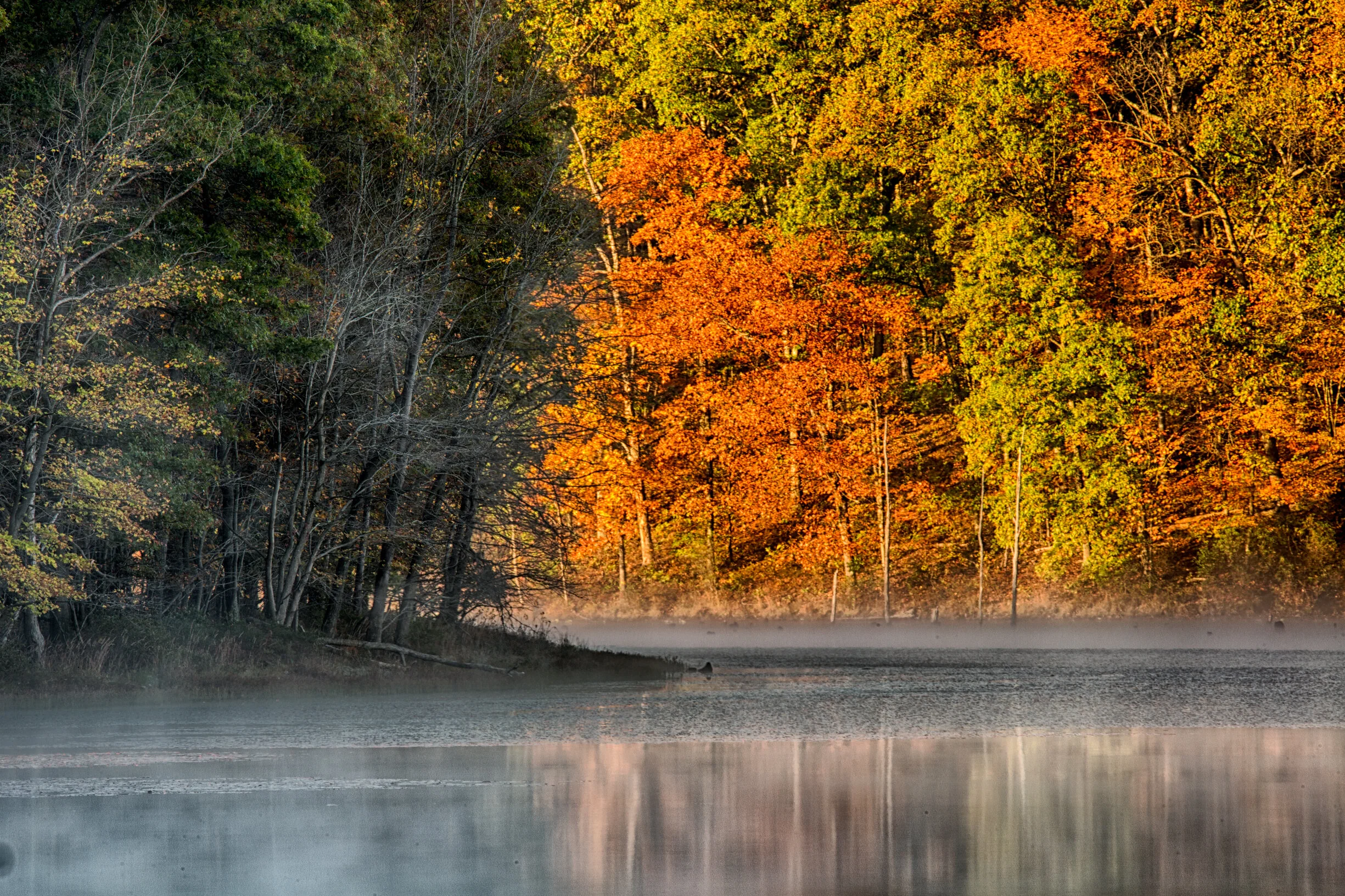 Outdoor activities Berkeley County WV - Hiking, fishing & nature ...
