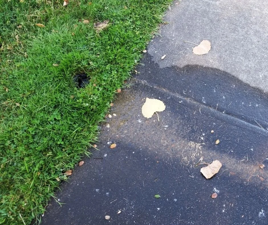 Water Pooling Around Sprinkler Head? Here's Why — Commercial Lawn ...