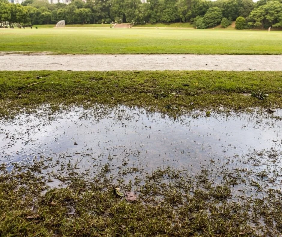 Water Pooling Around Sprinkler Head? Here's Why — Commercial Lawn ...