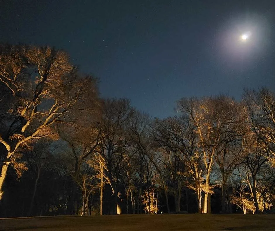 Residential Uplighting Installation | Southern Illinois & St. Louis ...