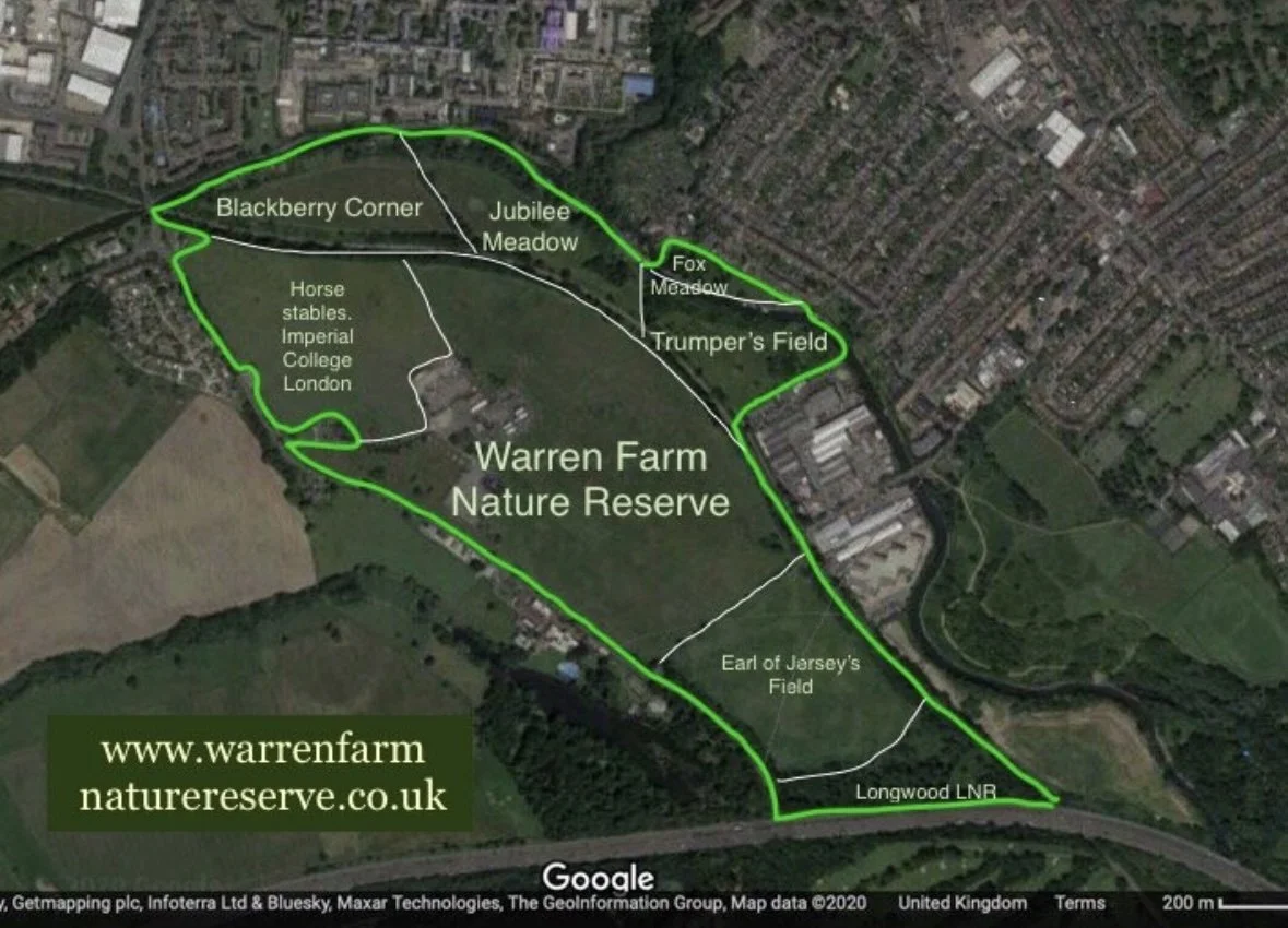 Breaking News Ealing Council Commit To Local Nature Reserve