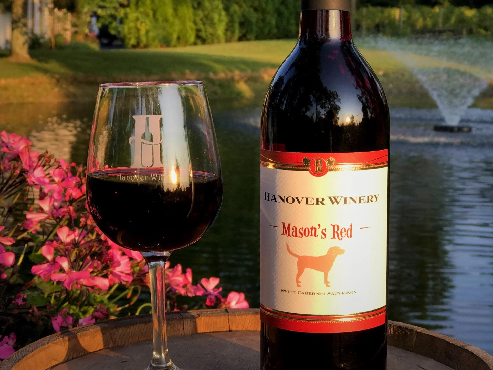 Gallery — Hanover Winery