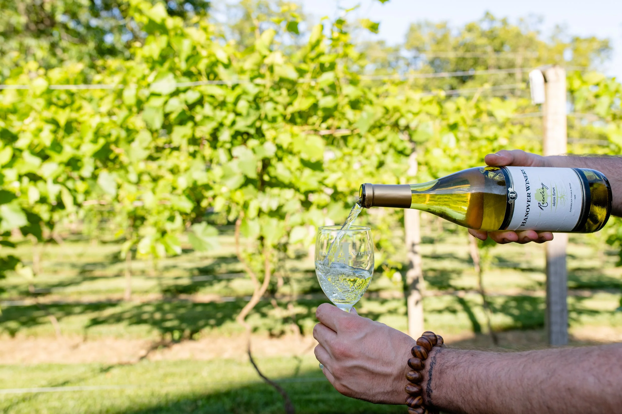 Hanover Winery