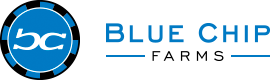 Blue Chip Farms