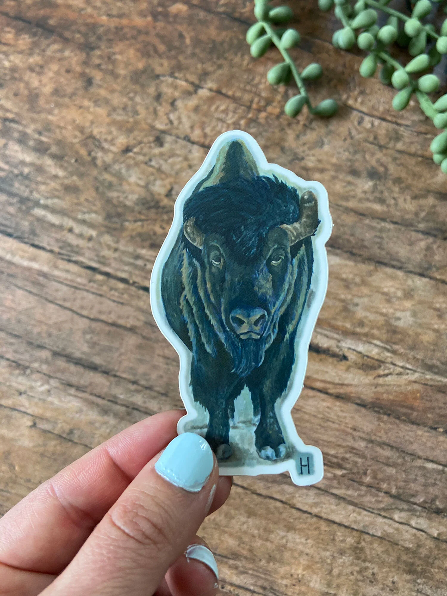 Shop — Laura Heck Fine Art