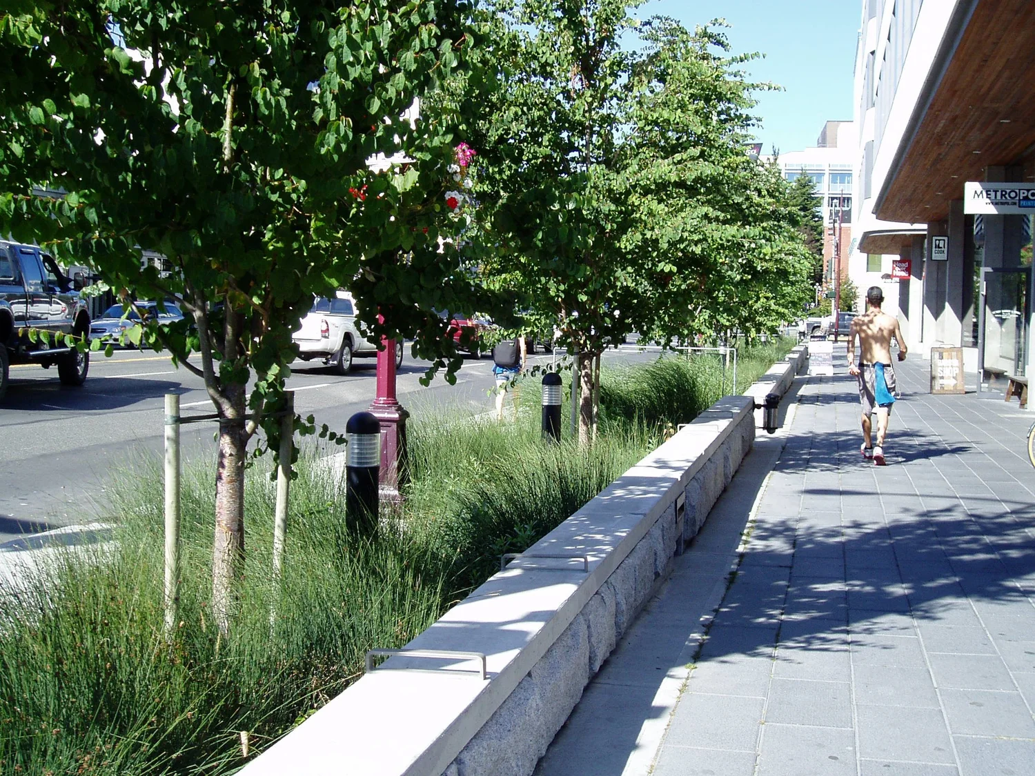 Holistic Benefits of Well-Designed Streetscaping — Civic Design Center