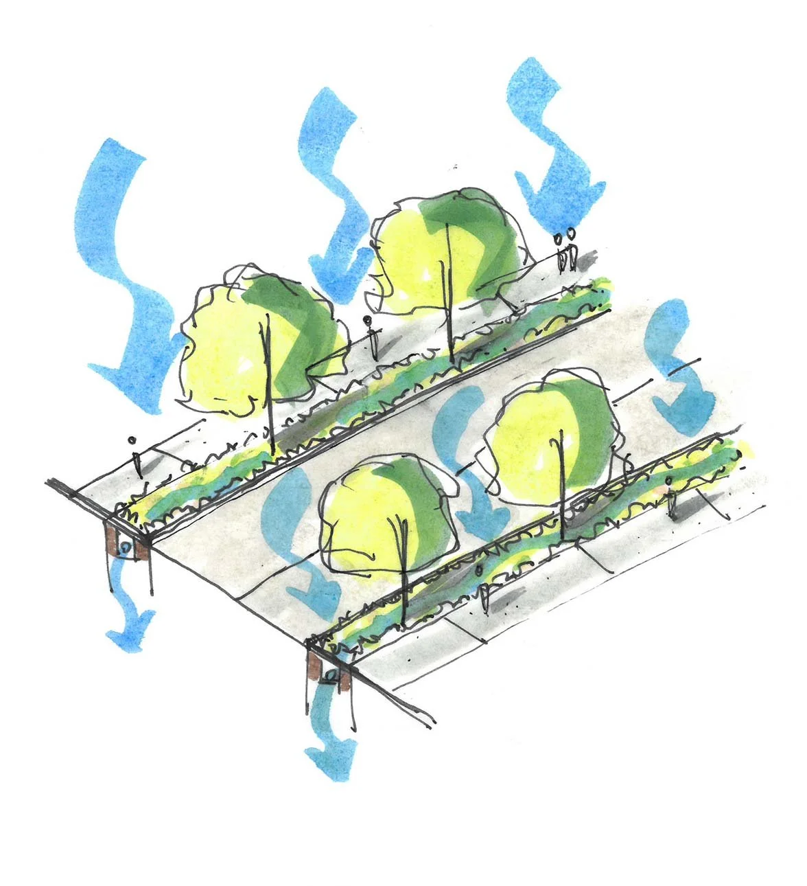 Holistic Benefits of Well-Designed Streetscaping — Civic Design Center