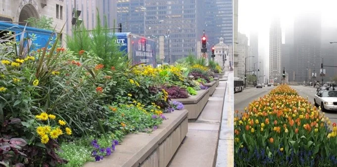 Greening The Pikes — Civic Design Center