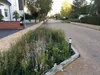 Holistic Benefits of Well-Designed Streetscaping — Civic Design Center