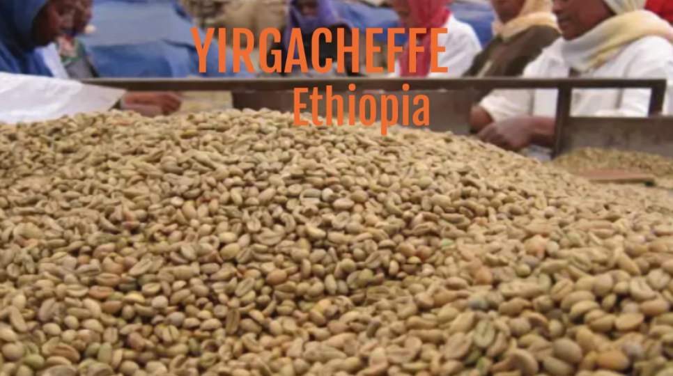 Coffee — Town Coffee Company