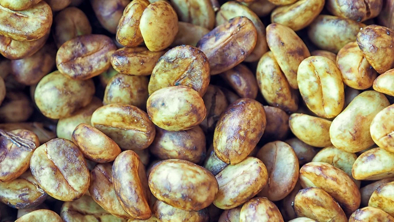 Unlocking the Magic of Coffee Processing: Washed, Natural, Honey, and ...