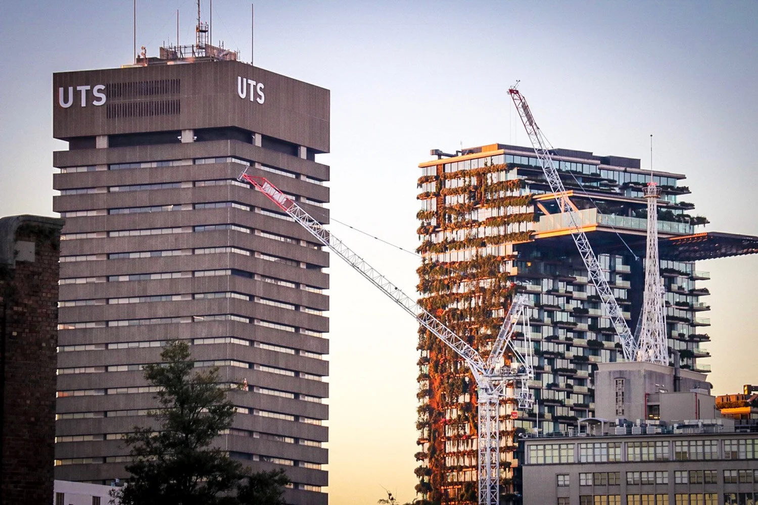 Projects — Reds Global