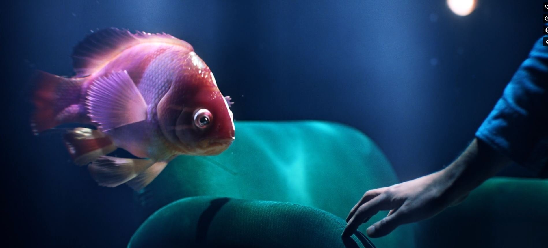 PROFESSIONAL WORK — HIGHWIND Assets