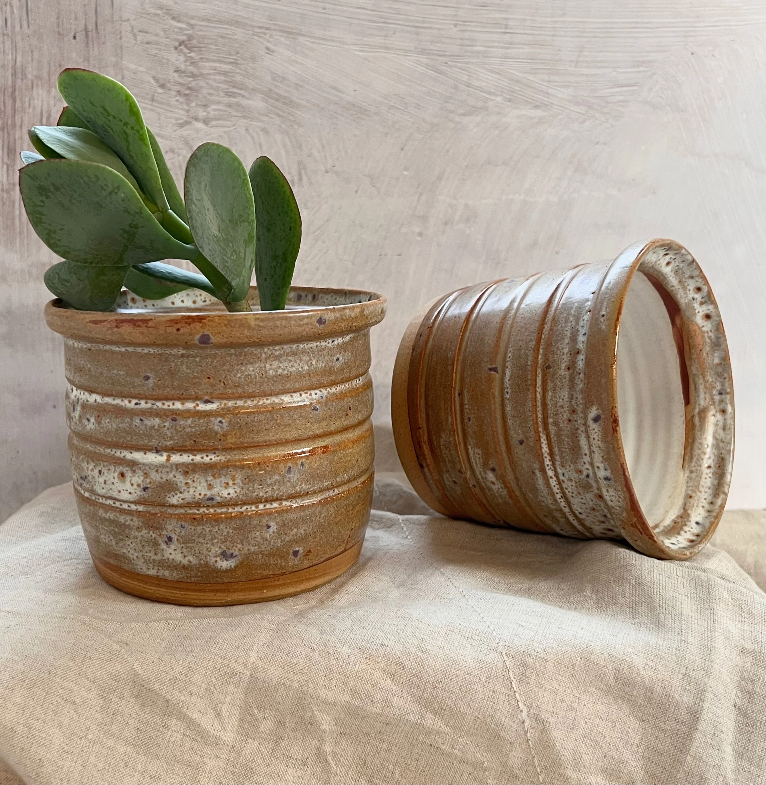 Shop — ann howe ceramics
