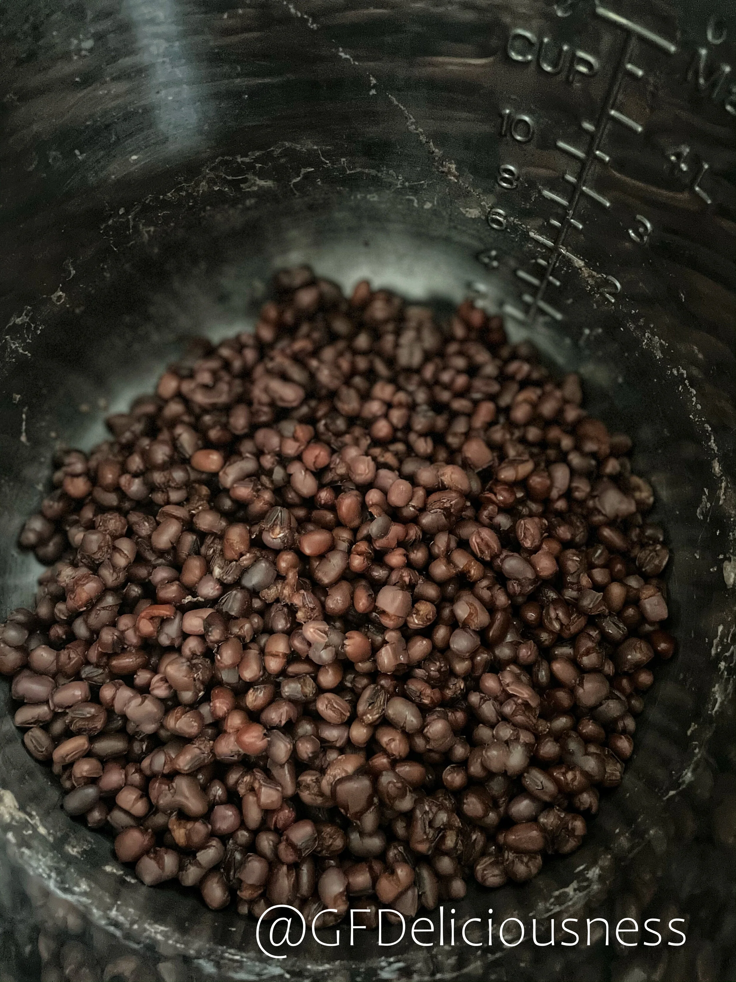 Baked Mochi Rice Cakes with red (adzuki) beans (脆皮紅豆年糕) — GF Deliciousness